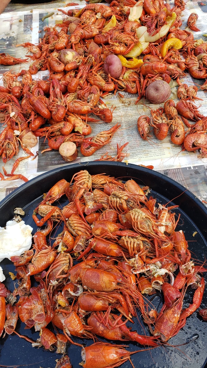 Weekend Woolgathering: Motherhood, A Crawfish Boil, and All of Us Are ...