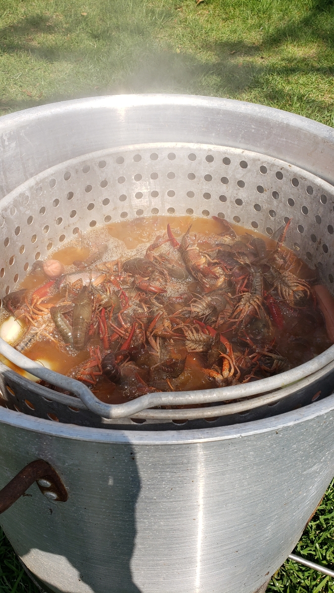 Weekend Woolgathering: Motherhood, A Crawfish Boil, and All of Us Are ...