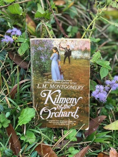 Books I Read This Month: November 2022 | The Kat Files